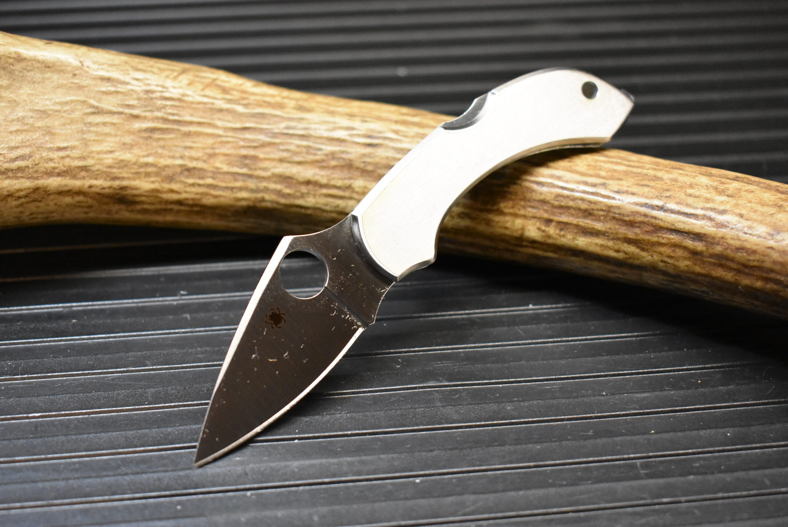 Spyderco Dragonfly - LANTAC Knives